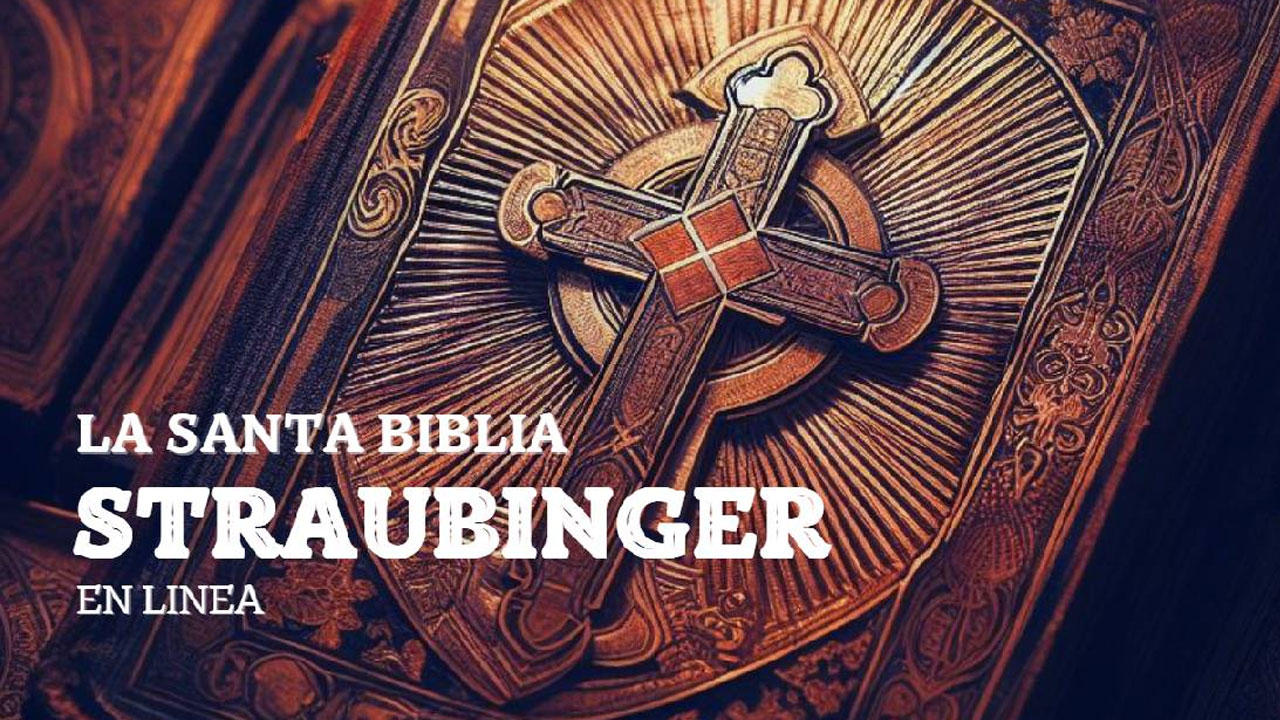 ¿Cómo hacer una hora santa de adoración al Santísimo? - Cooperadores de ...