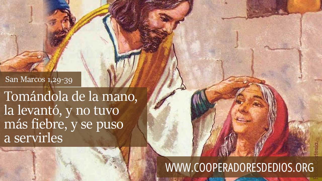 Tomándola de la mano, la levantó, y no tuvo más fiebre, y se puso a ...