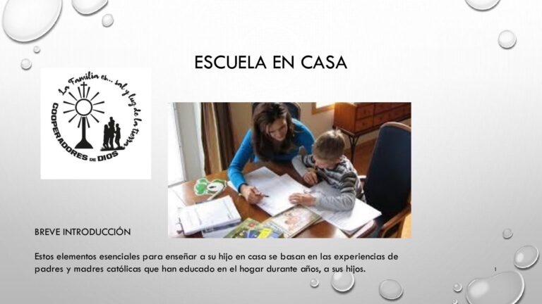 Cooperadores de Dios » VIÑA ESCUELA EN CASA